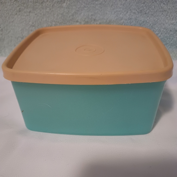 Tupperware | Kitchen | Vintage Tupperware Small Food Container Rectangle | Poshmark